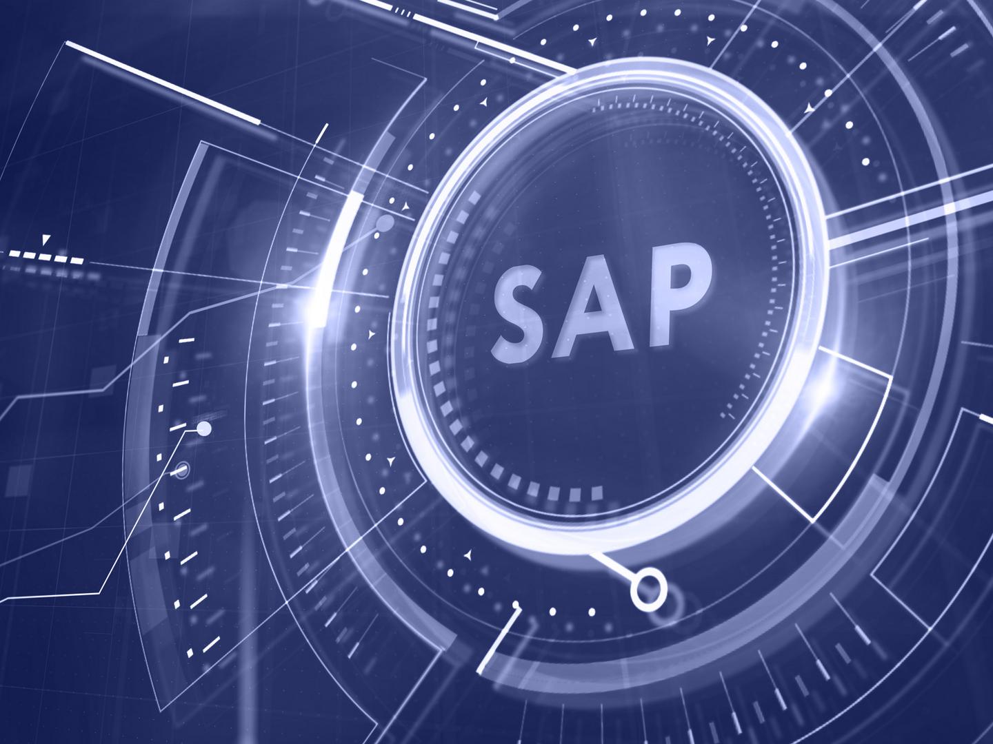 SAP GUI: Funktionen und Zukunftsperspektiven