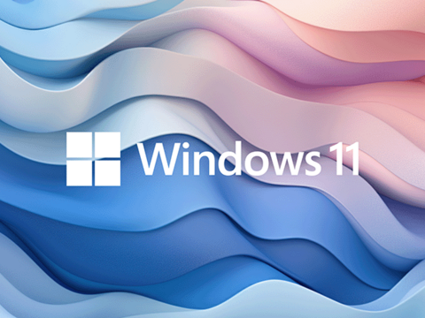 Organise and edit contacts with Windows 11